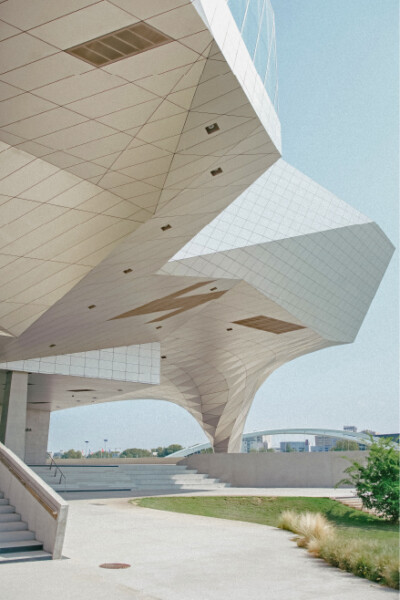 Cladding (ACP) & Decorative Metal Cladding - Next Level Group