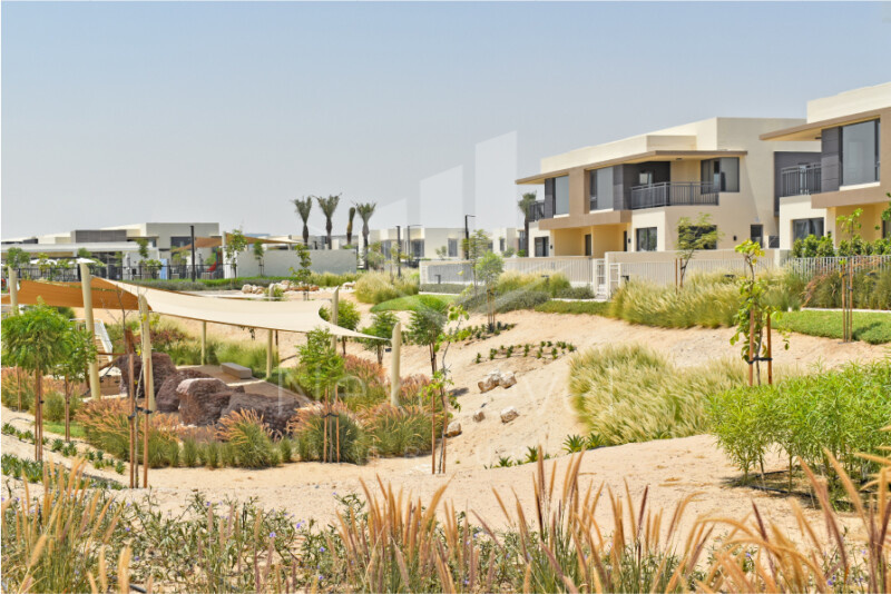 MAPLE 2 at Dubai Hills, Dubai, UAE - Next Level Group